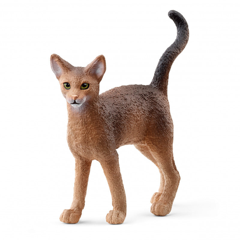 13964 SCHLEICH ABYSSINIAN CAT – KIDSGOODS